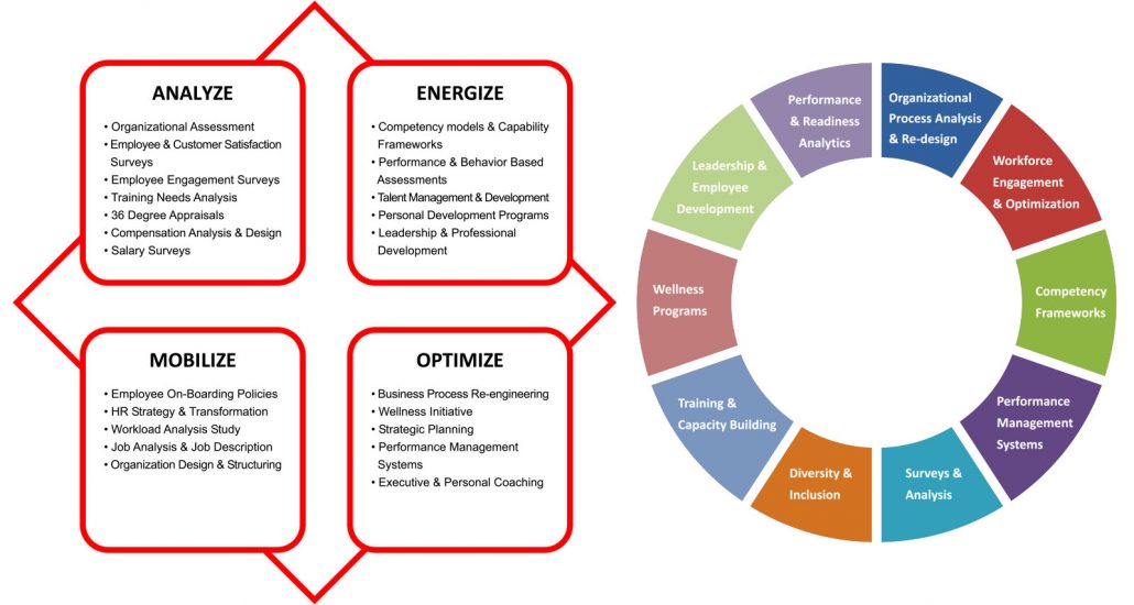 Primehr | HR Consulting